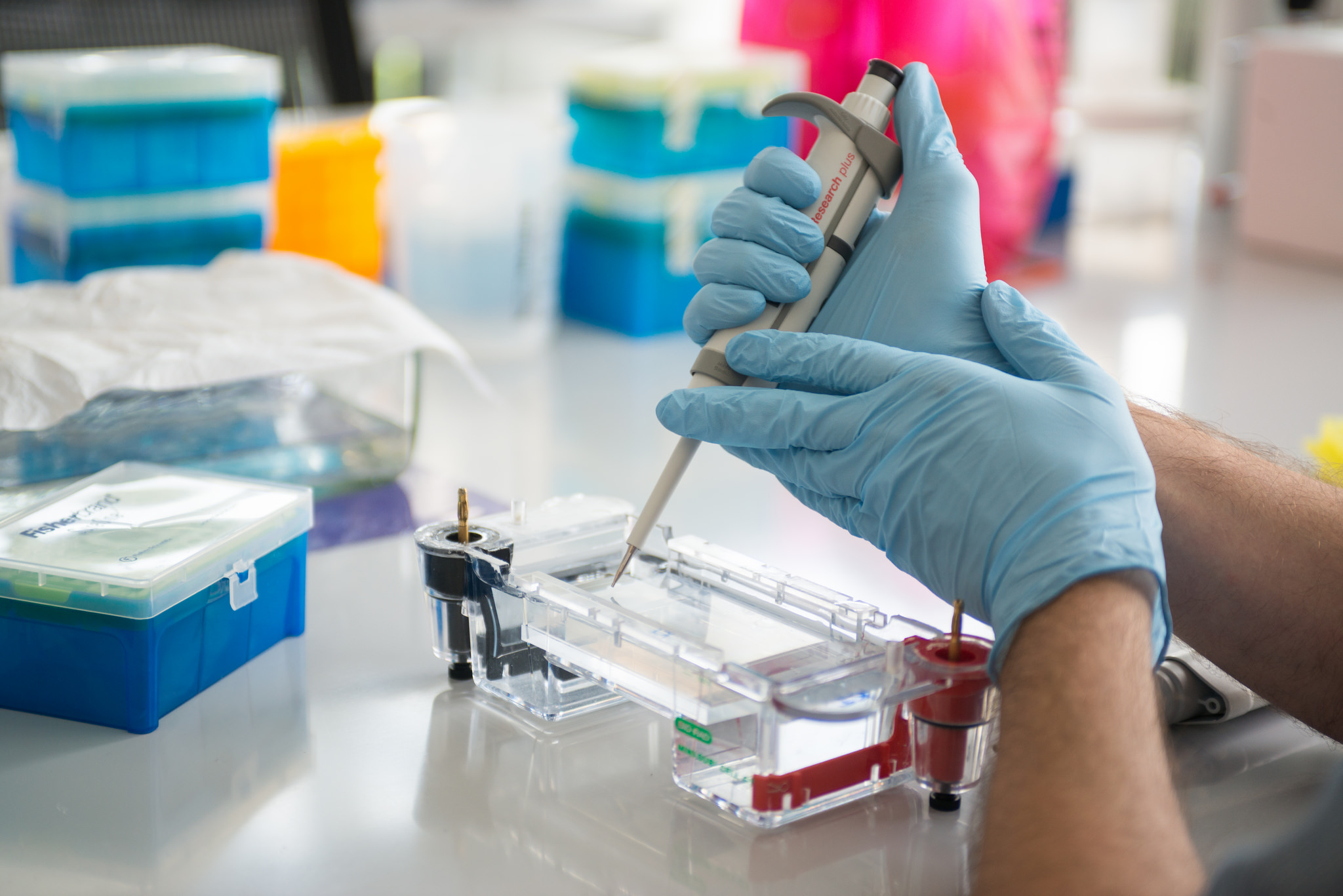 FIU Life Sciences South Florida